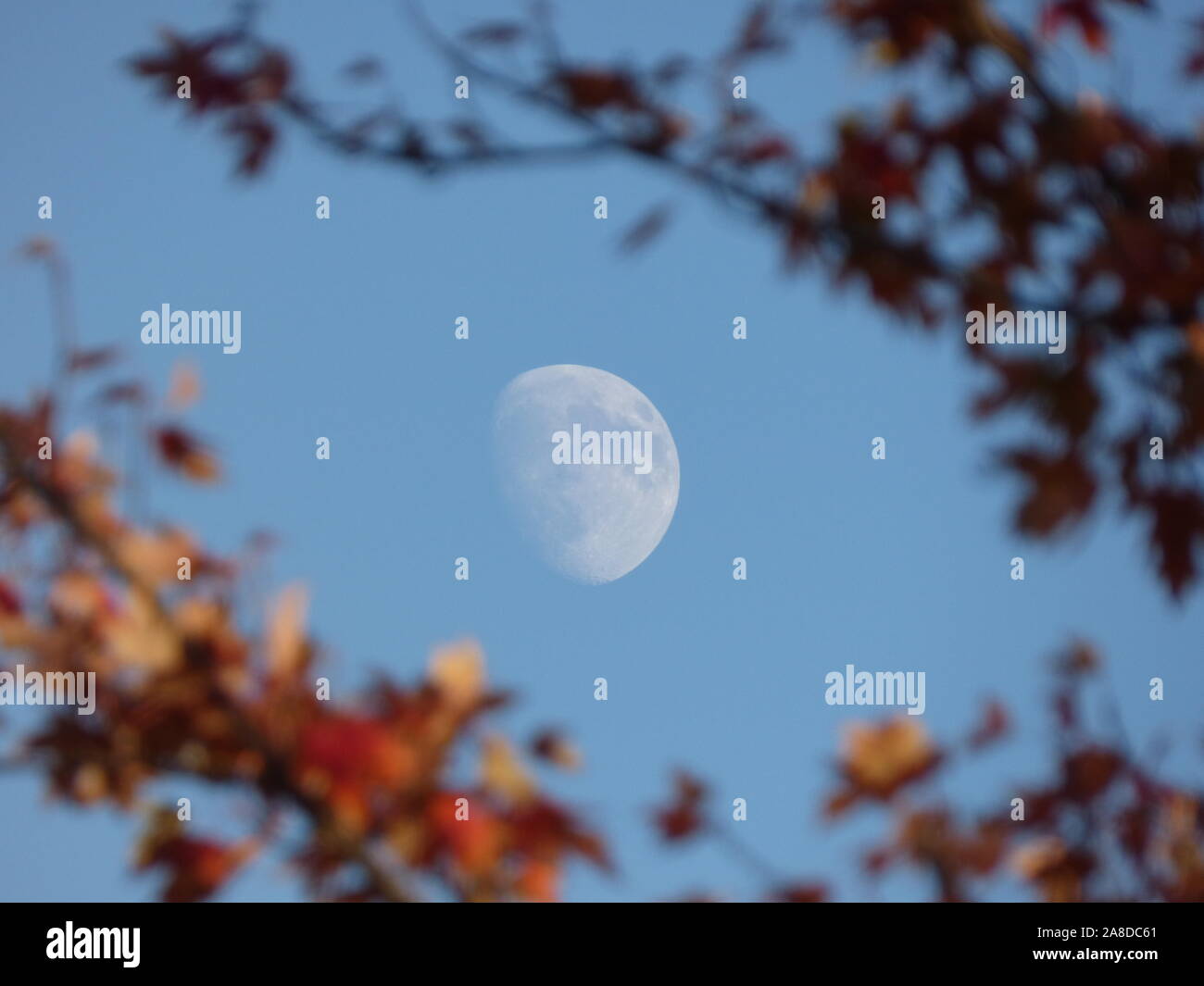 Moon fall hi-res stock photography and images - Alamy