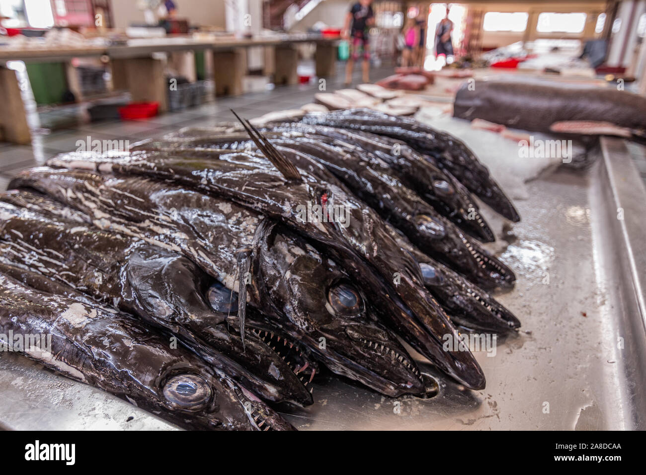 Black scabbardfish on display in local market hall in Funchal, Madeira ...