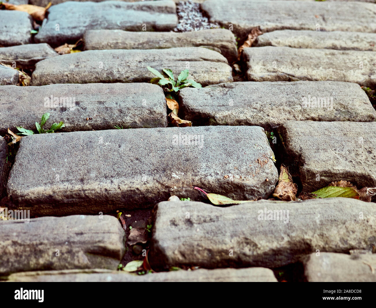 Road tiles hi-res stock photography and images - Alamy