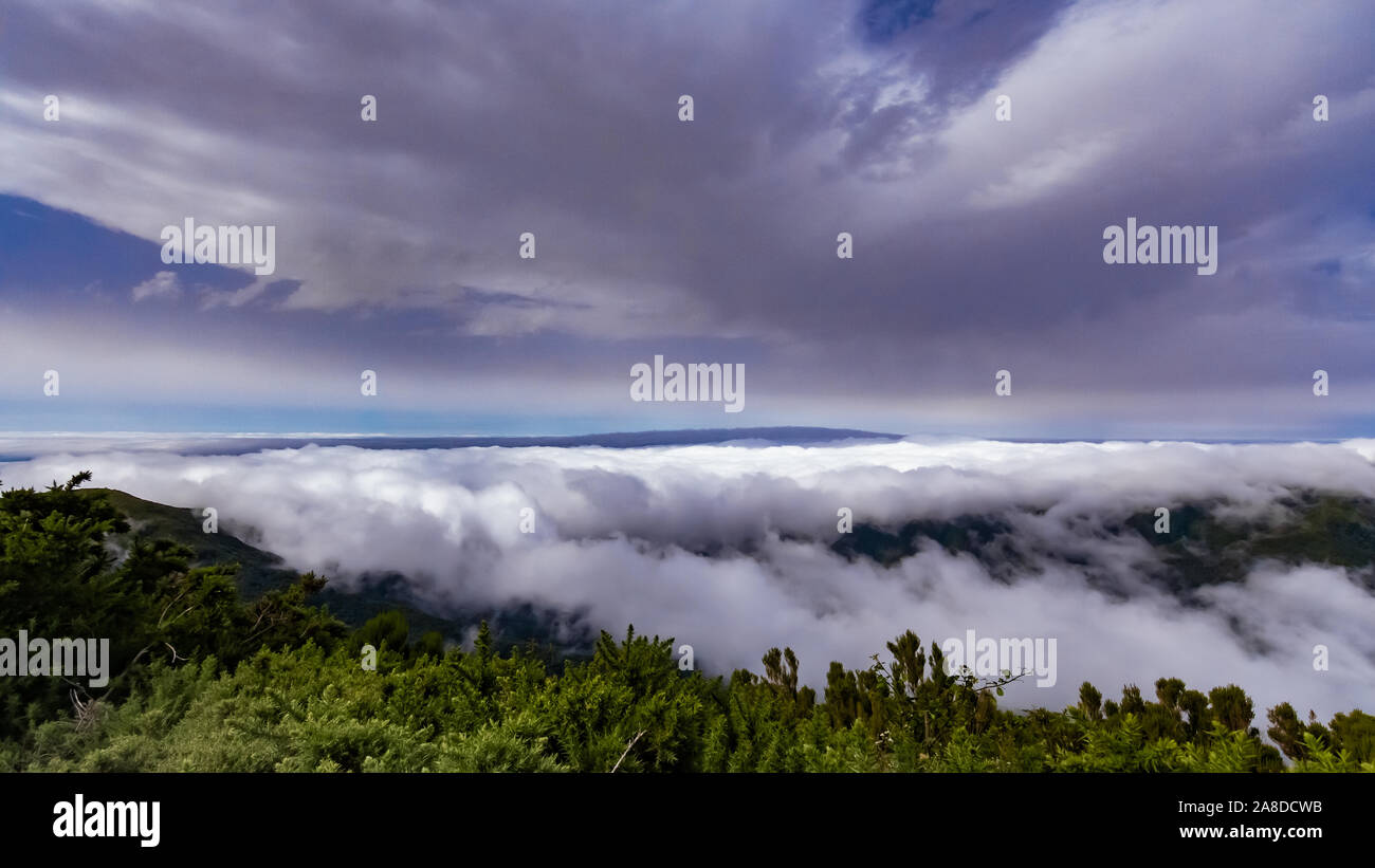 Madeira poster hi-res stock photography and images - Alamy