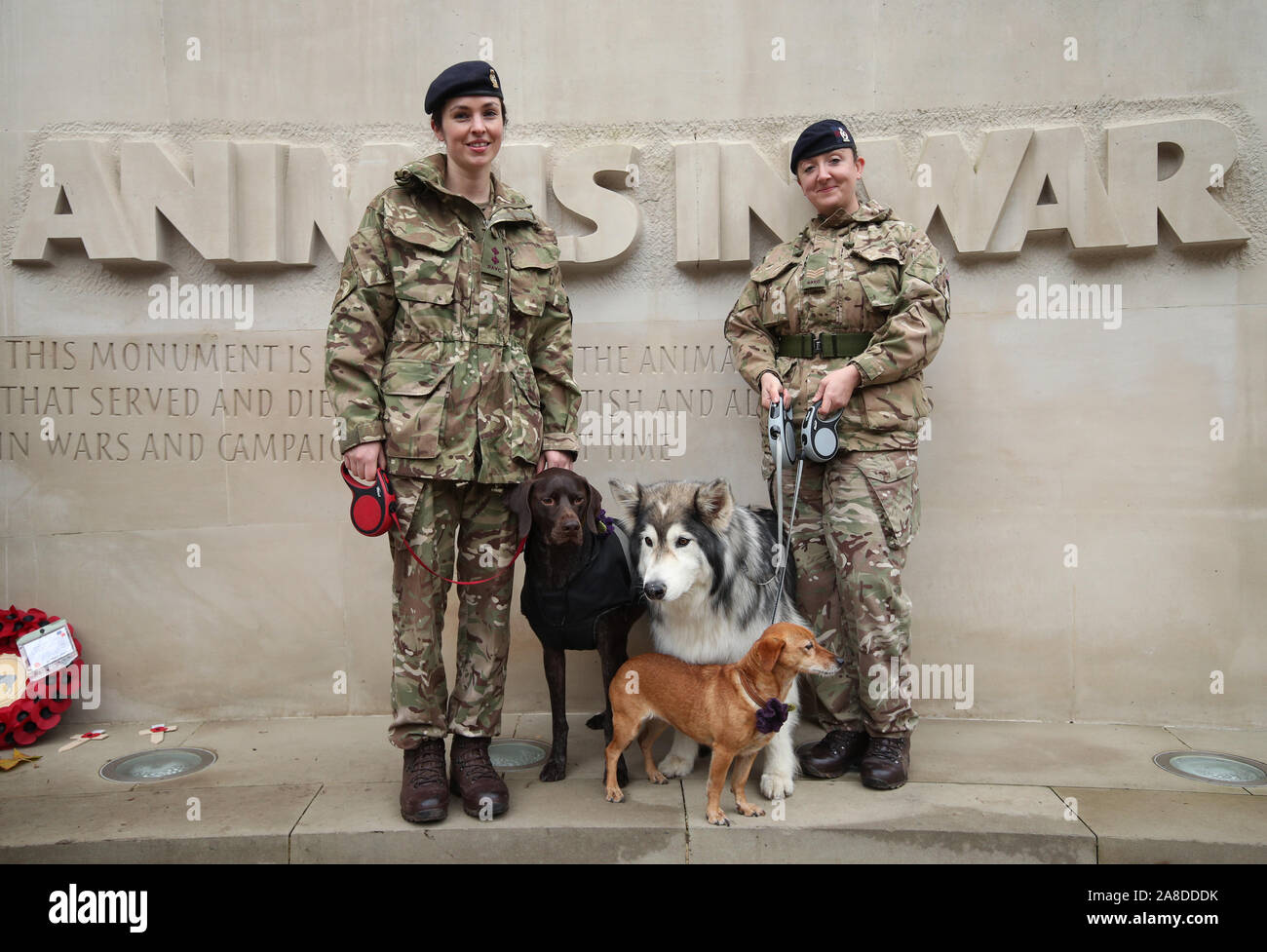 With army dogs left to right marley hi-res stock photography and images ...