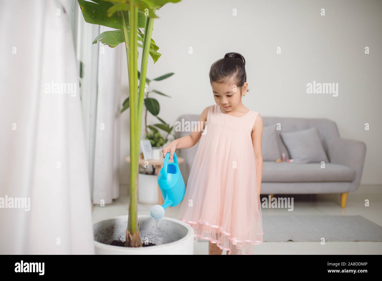 Cute girl care for plants Stock Photo - Alamy