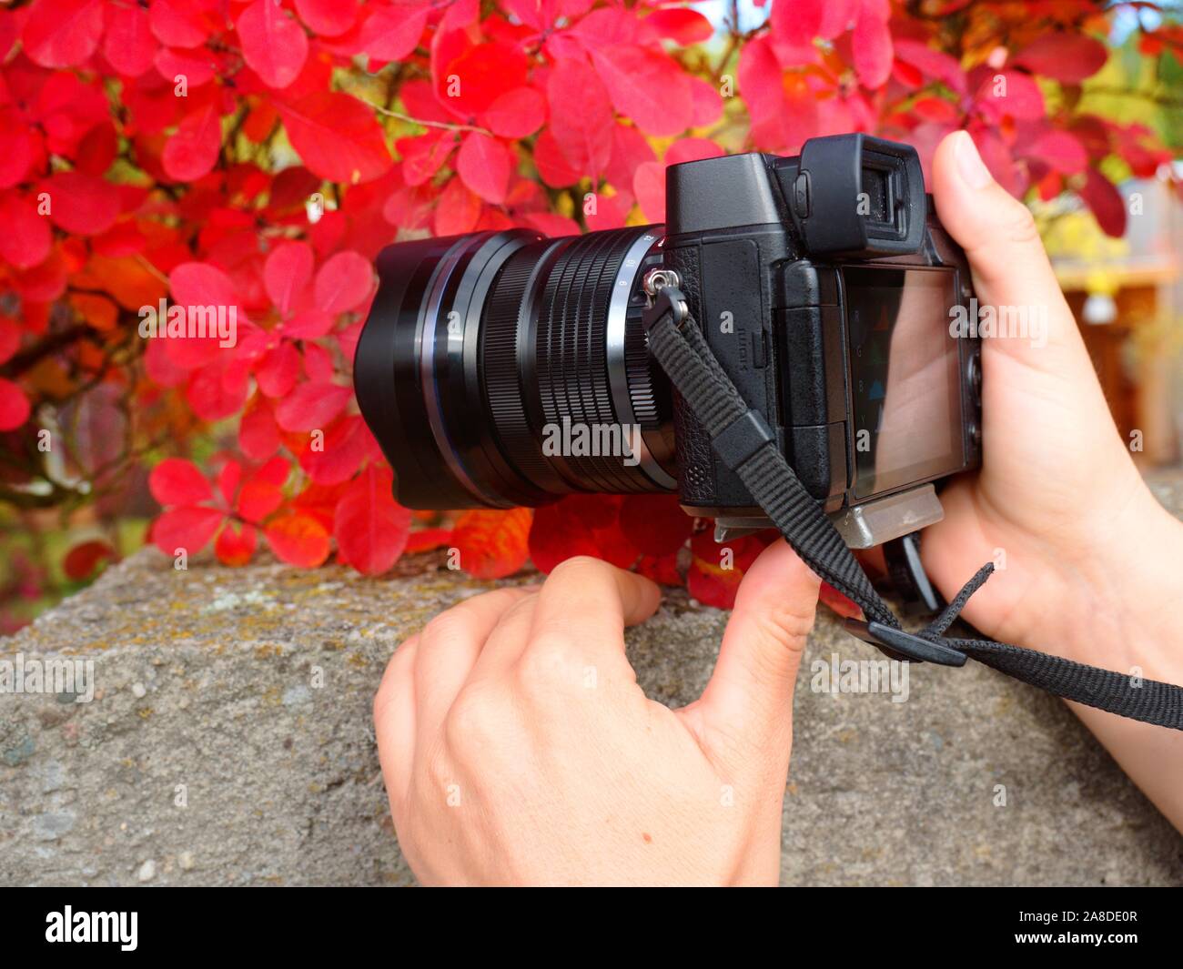 Neck Strap High Resolution Stock Photography and Images - Alamy