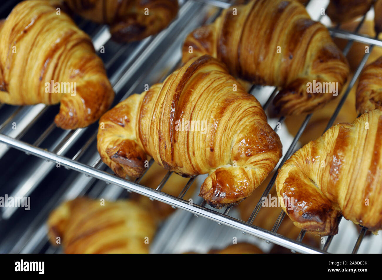 The "real" french croissant Stock Photo - Alamy