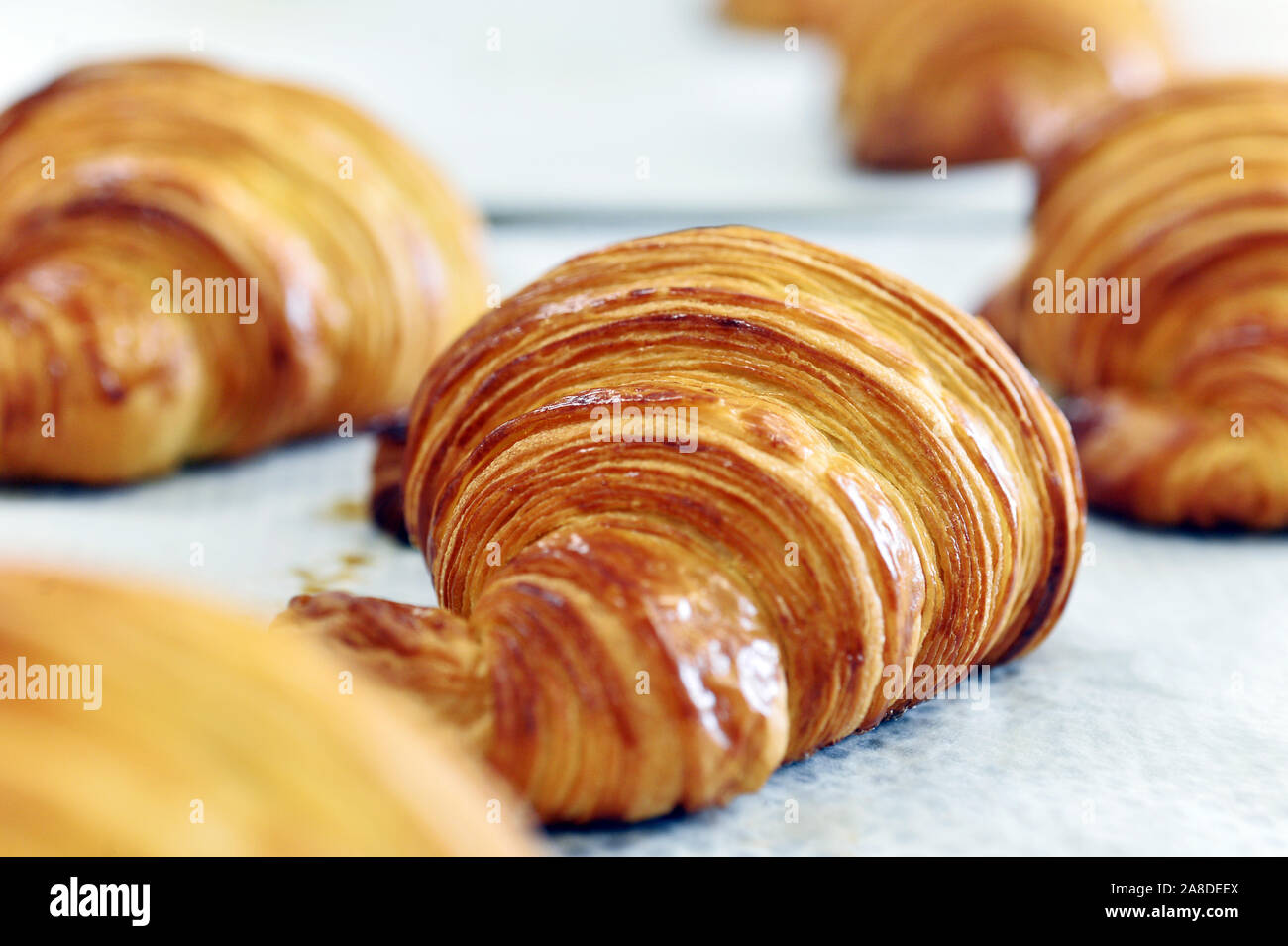 The "real" french croissant Stock Photo - Alamy