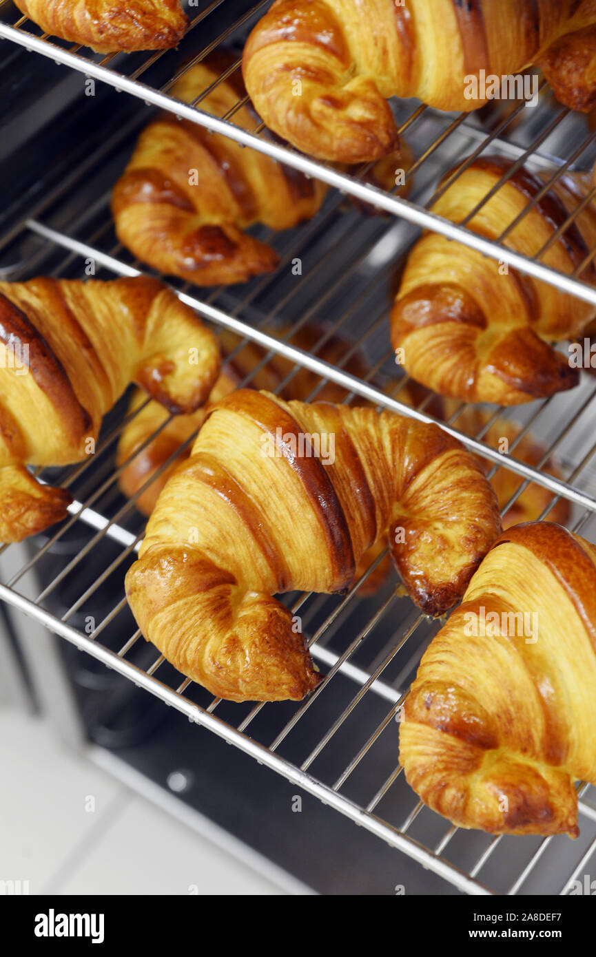 The "real" french croissant Stock Photo - Alamy