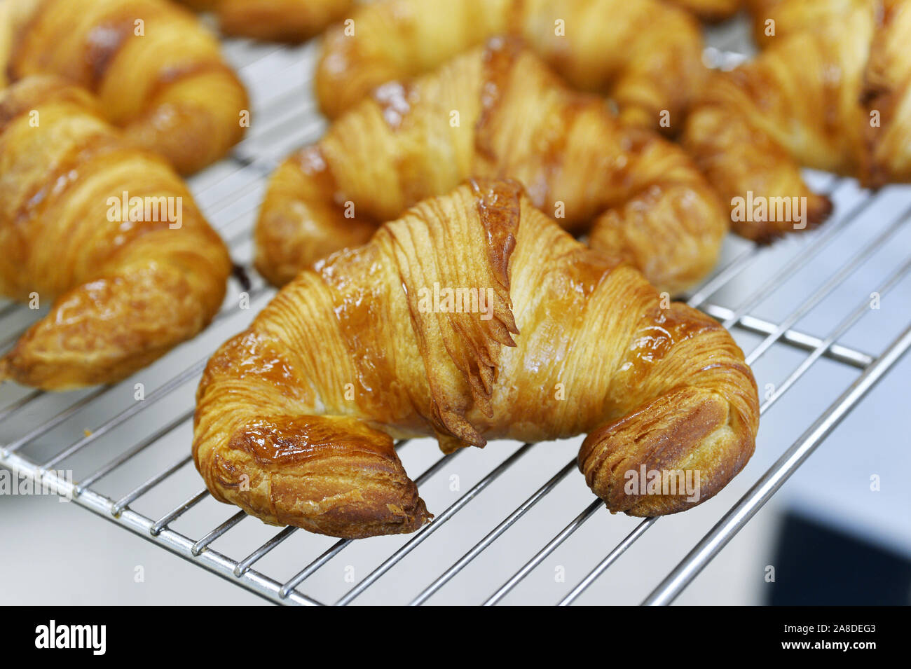 The "real" french croissant Stock Photo - Alamy
