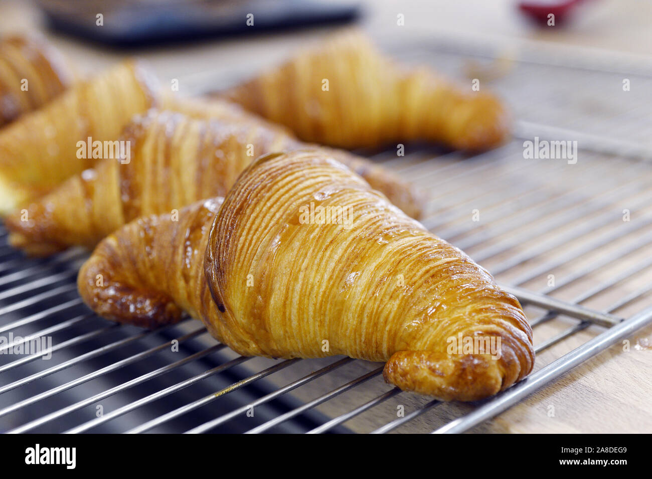 The "real" french croissant Stock Photo - Alamy