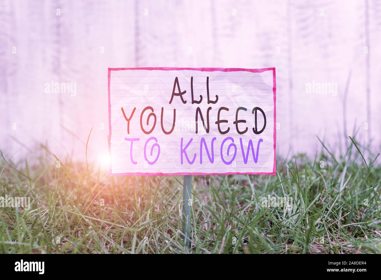 Text sign showing All You Need To Know. Business photo text Tell only ...