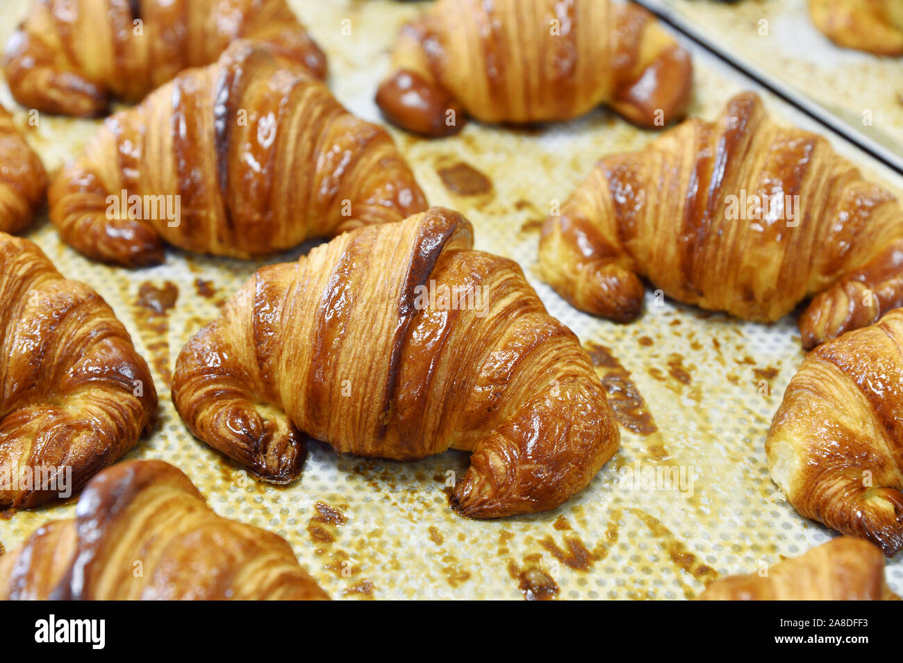 The "real" french croissant Stock Photo - Alamy