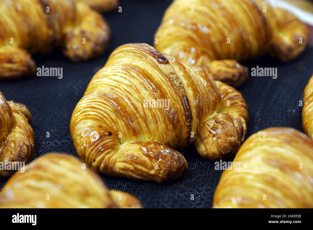 The "real" french croissant Stock Photo - Alamy