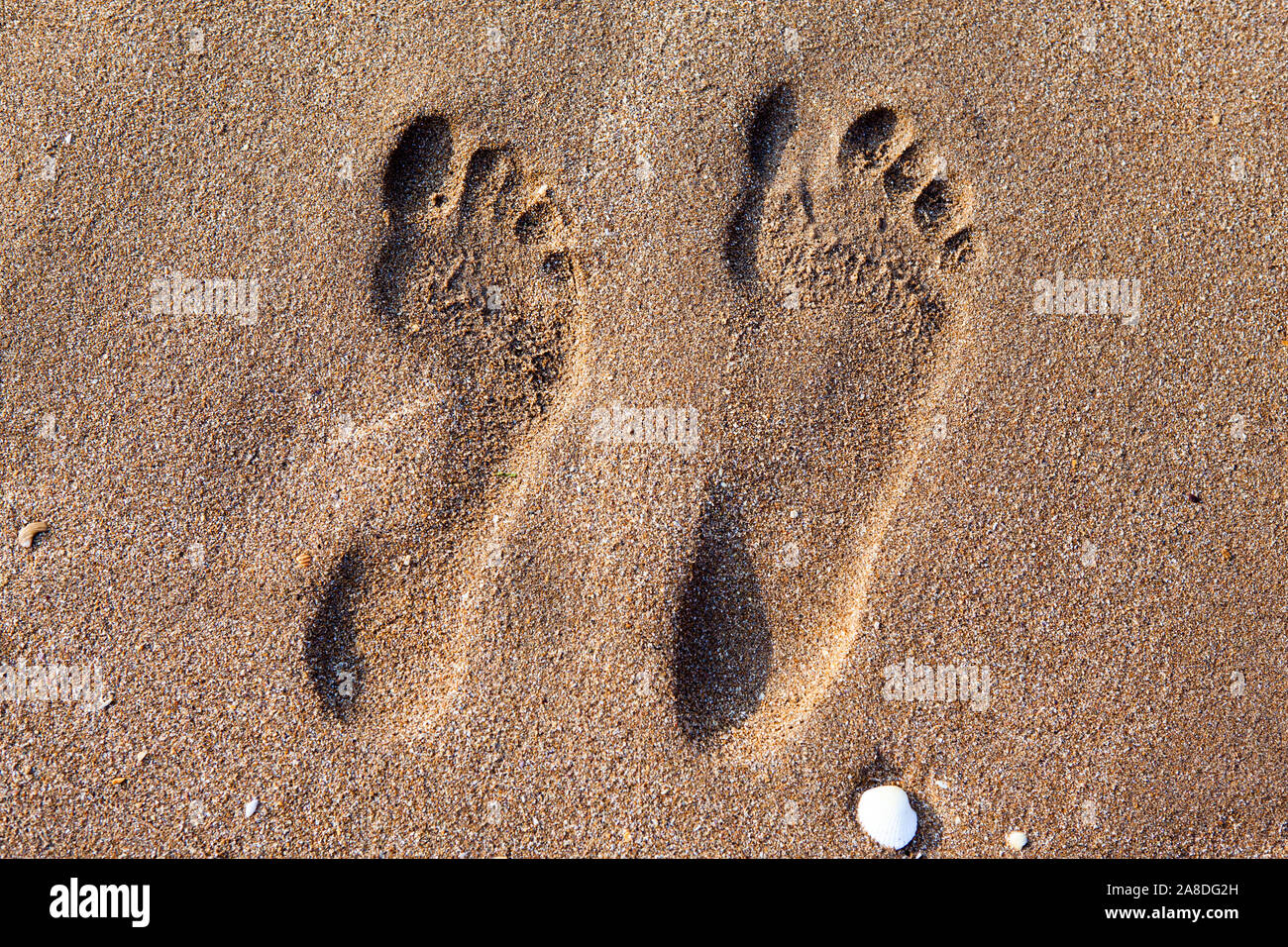 male and female footprints on a sandy beach Stock Photo - Alamy