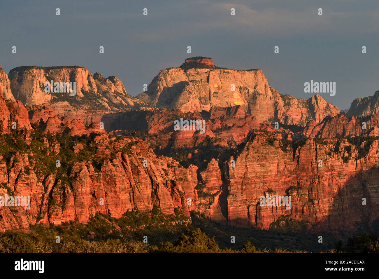 Zion National Park at sunset, Utah, USA Stock Photo - Alamy