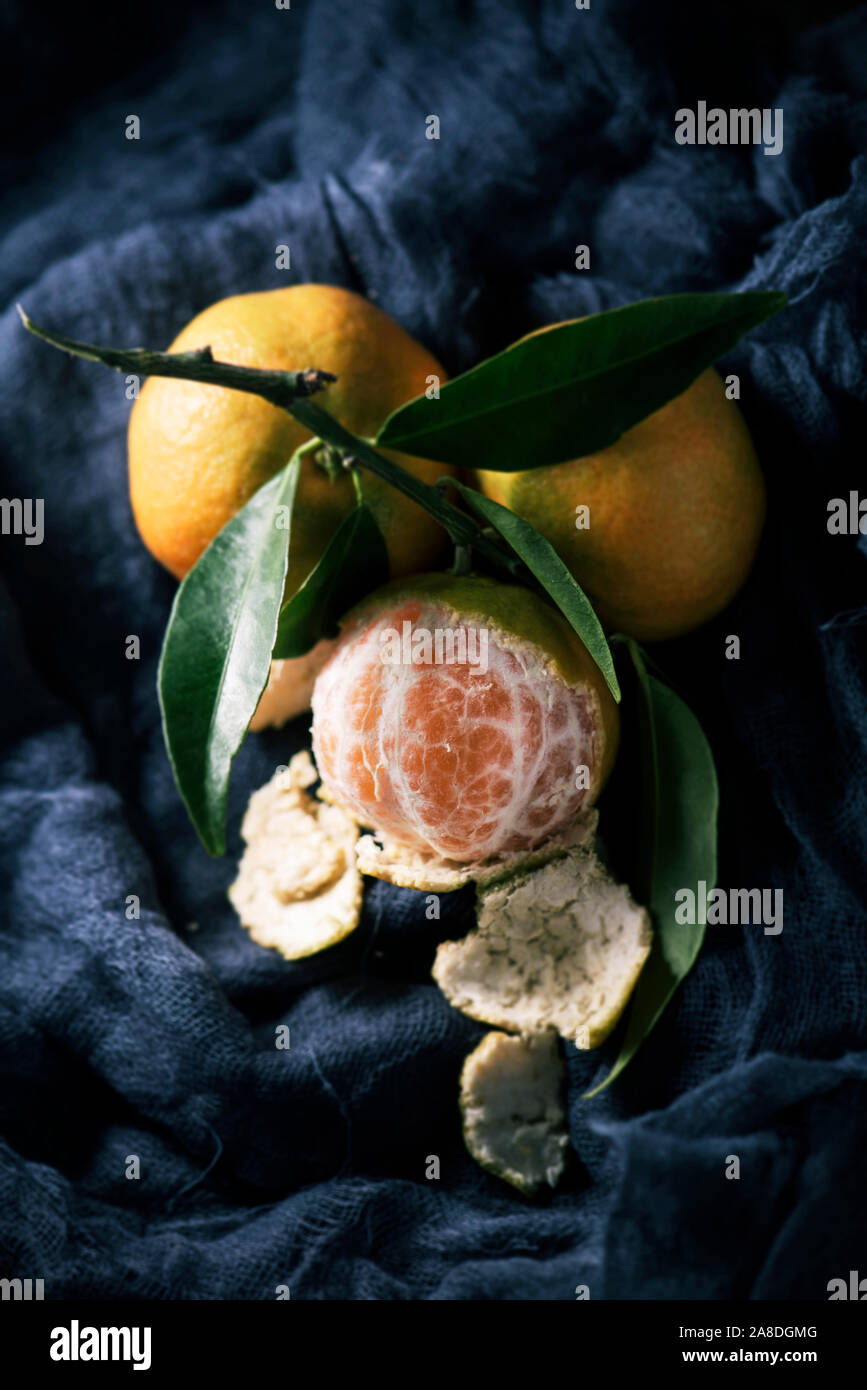 Gauze leaf hi-res stock photography and images - Alamy