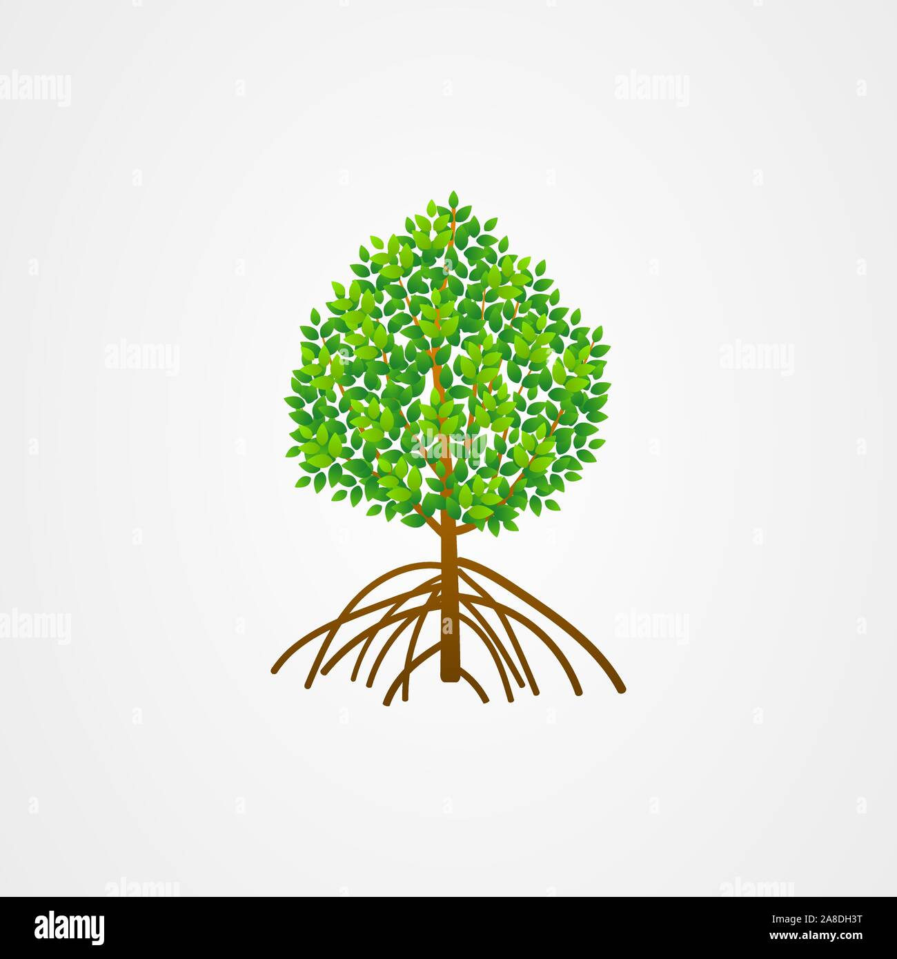 Mangrove tree Stock Vector Images - Alamy
