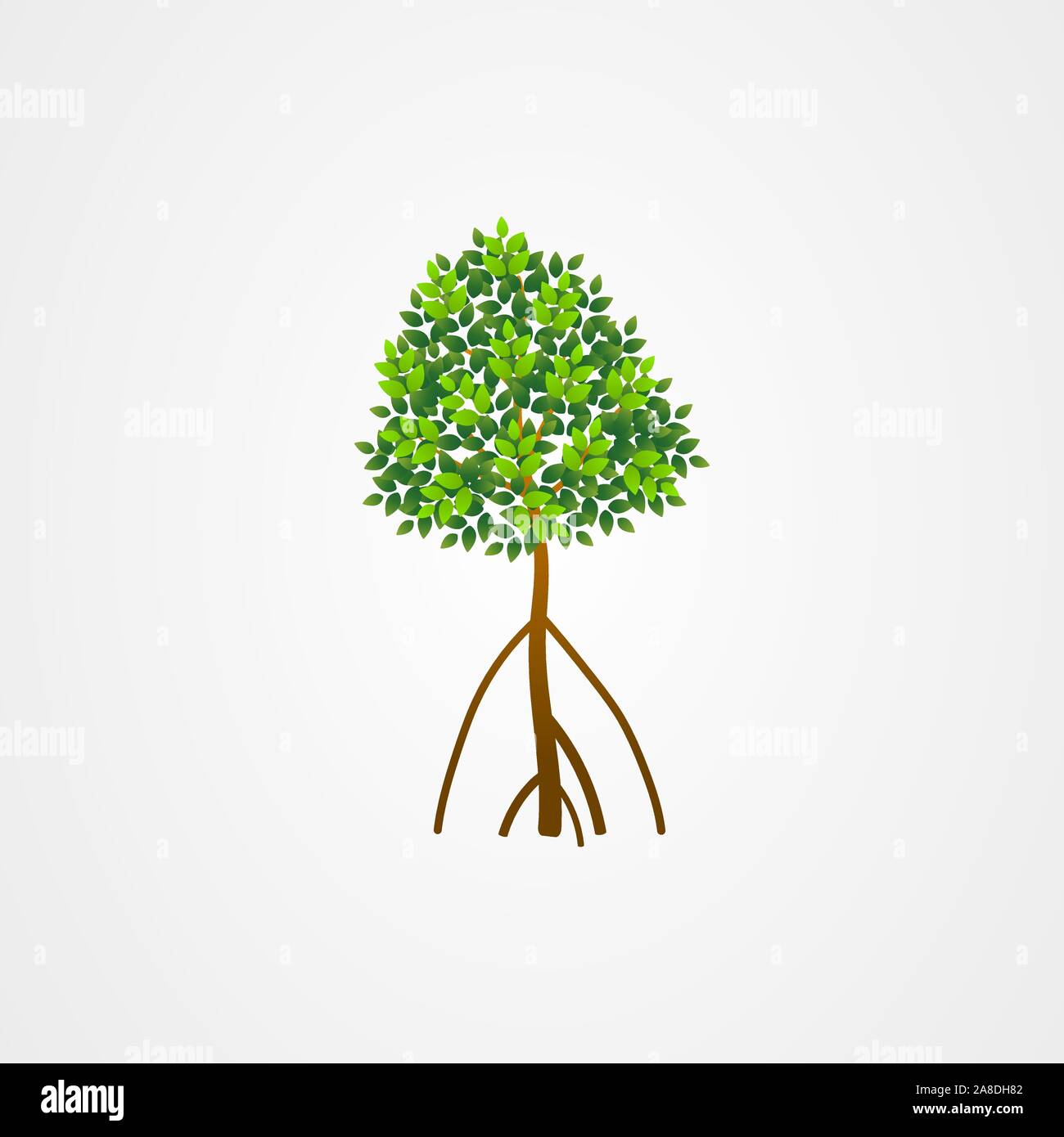 Mangroves wood Stock Vector Images - Alamy