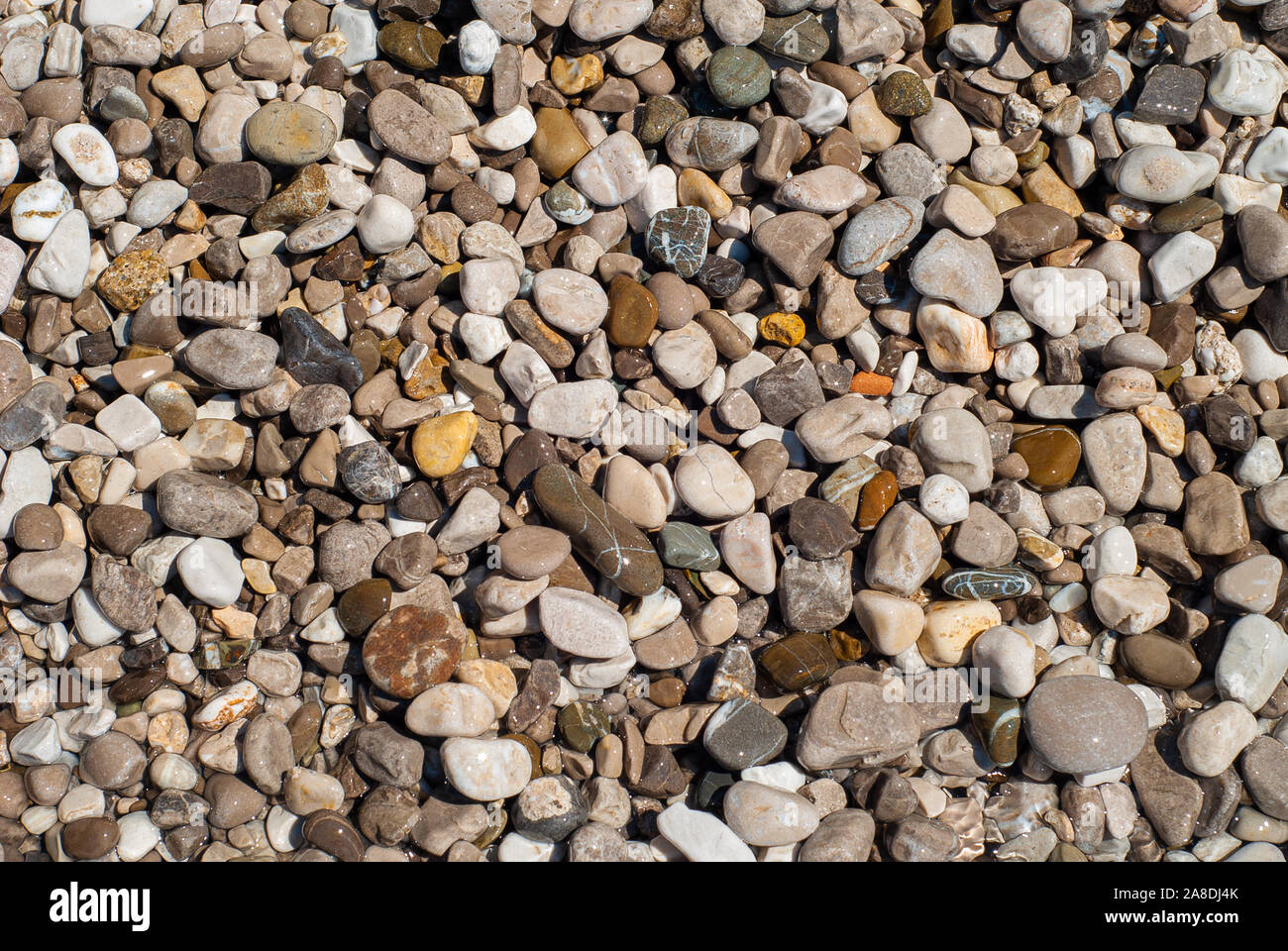 Texture of marine stones eroded by the waters of the sea of various ...