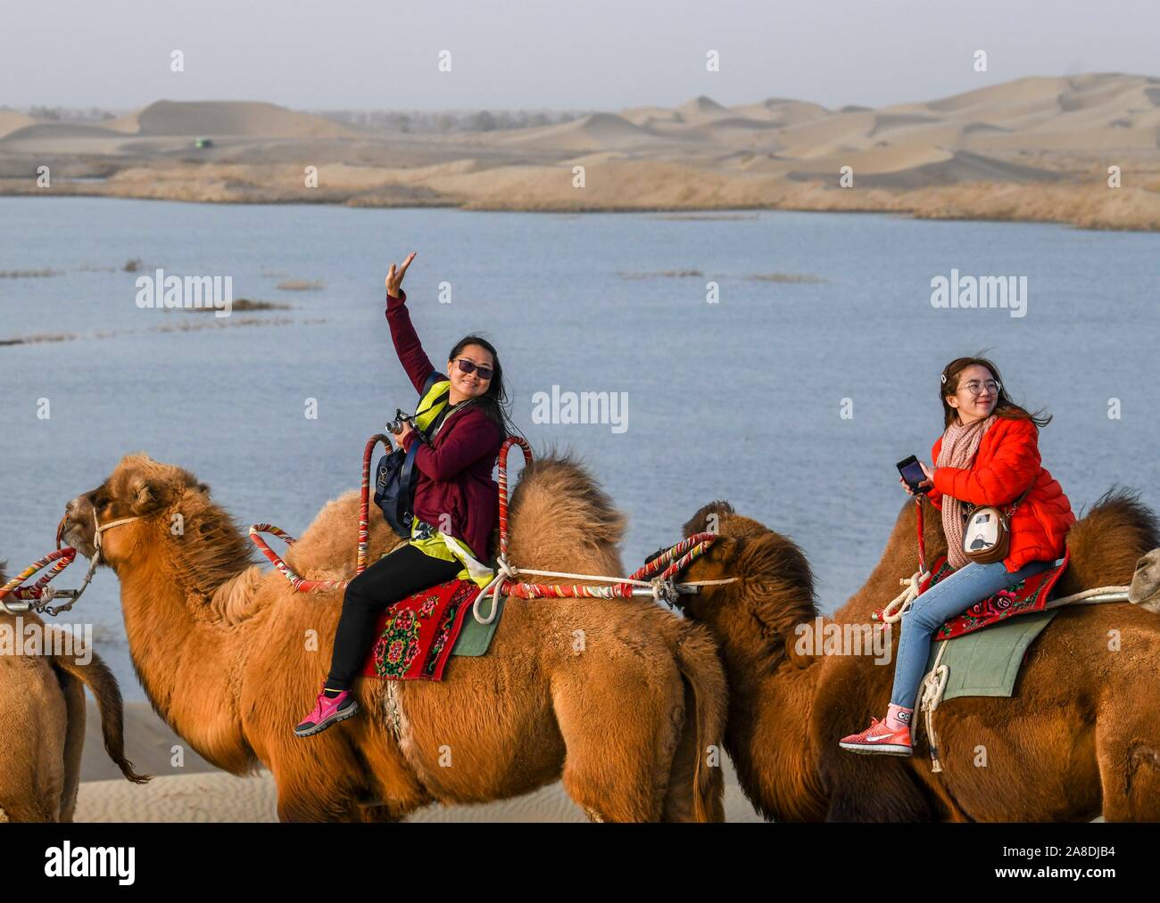 Lop desert hi-res stock photography and images - Alamy