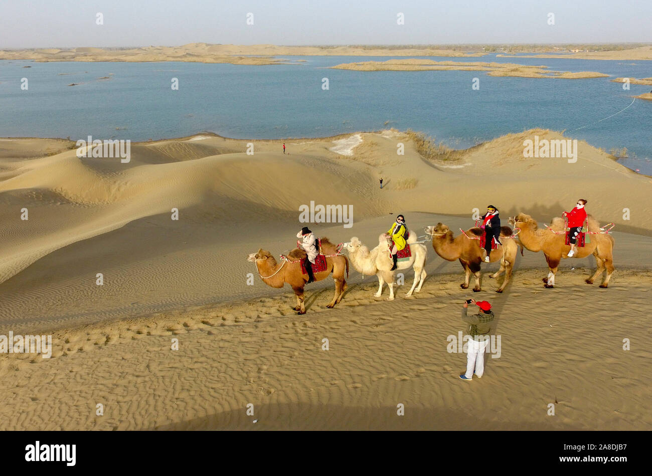 Lop desert hi-res stock photography and images - Alamy