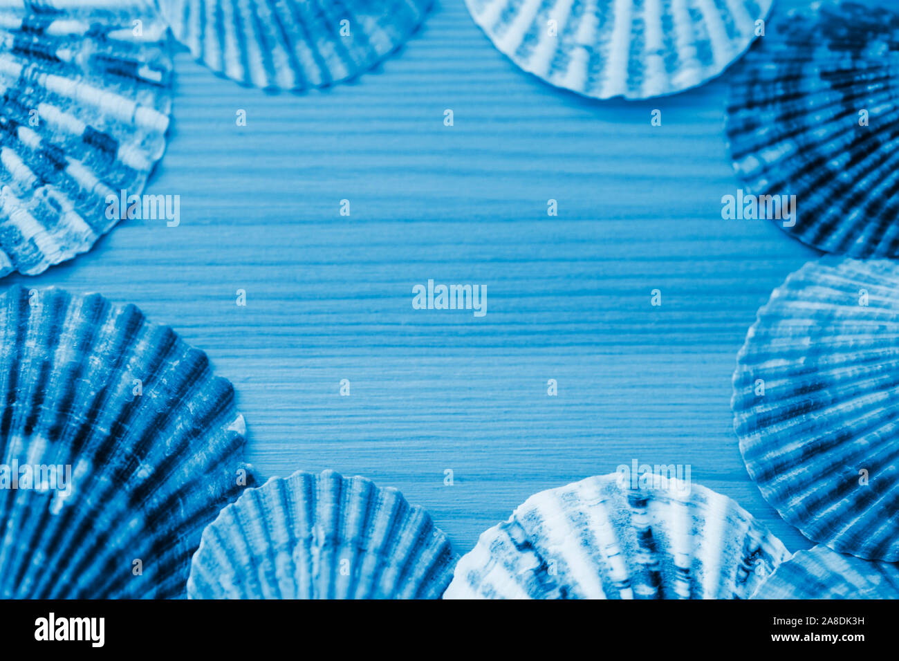 Blue shell pattern hi-res stock photography and images - Alamy