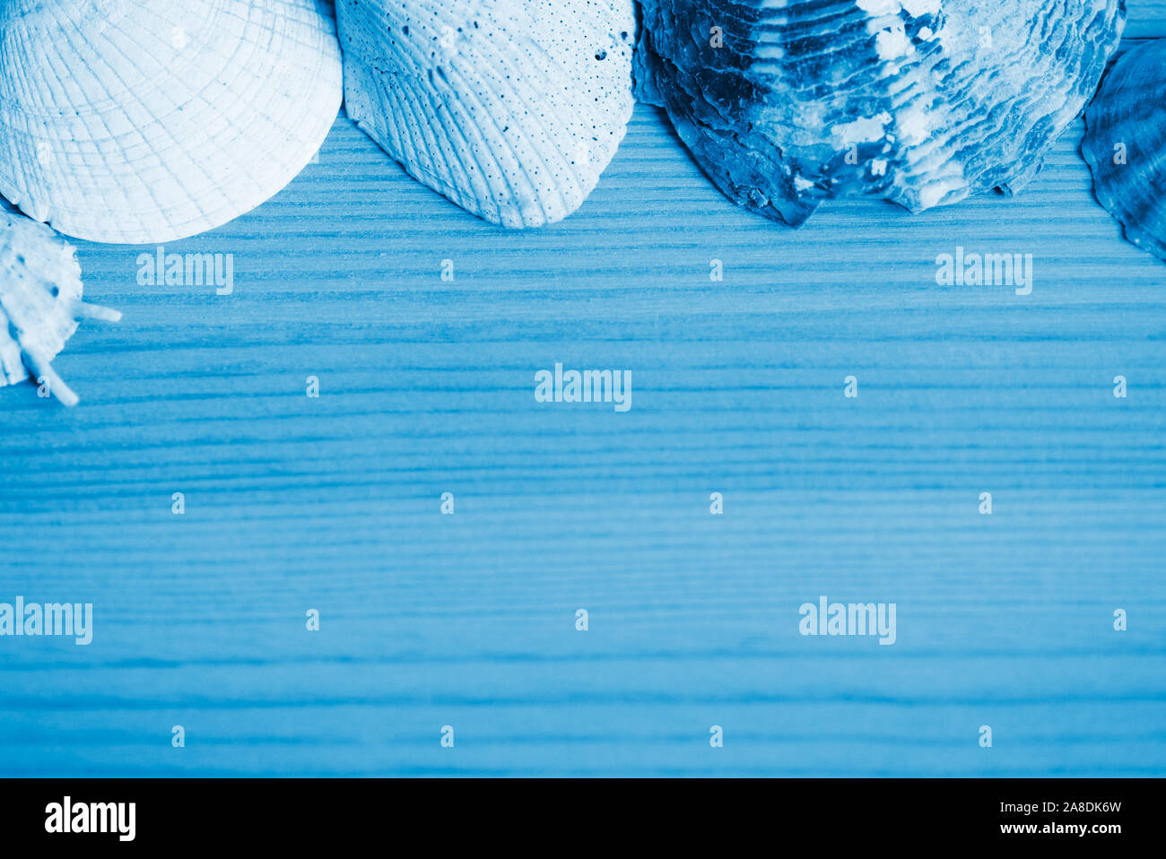 Blue shell pattern hi-res stock photography and images - Alamy