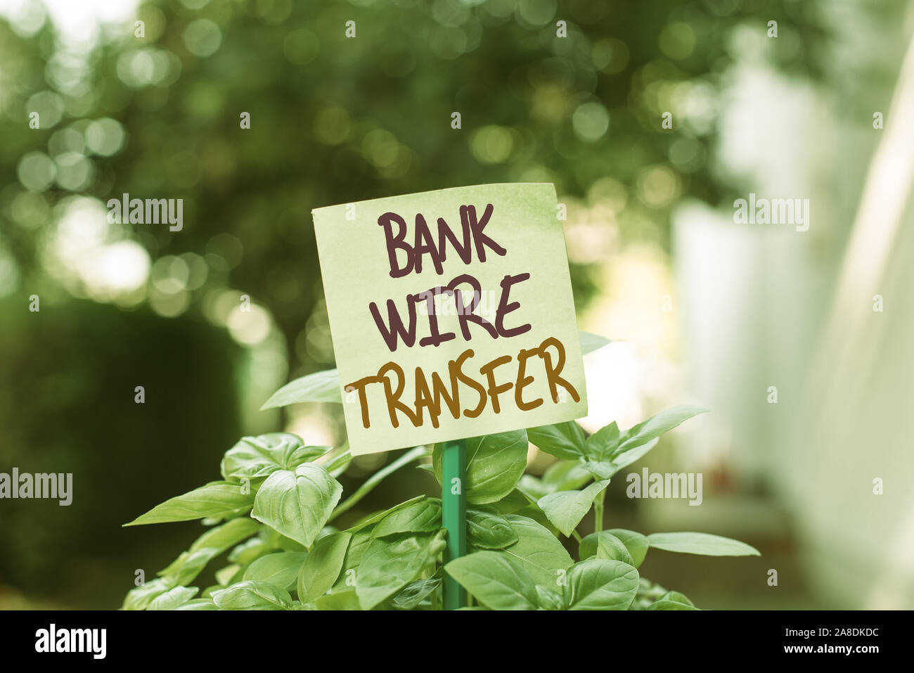 Handwriting text writing Bank Wire Transfer. Conceptual photo ...