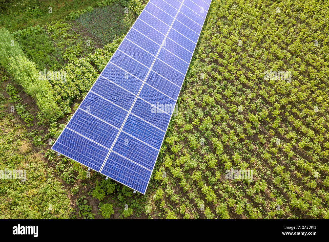 Blue solar panels for clean energy on green grass Stock Photo - Alamy