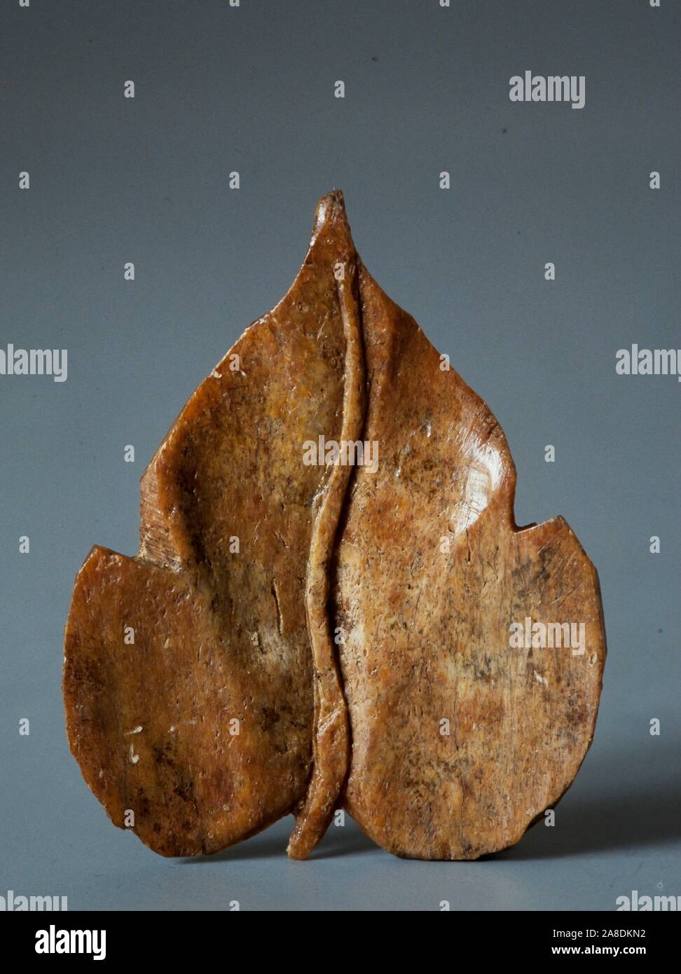 Roman vegetable motive, bone. Museum: MUSEO DE MATARÓ Stock Photo - Alamy