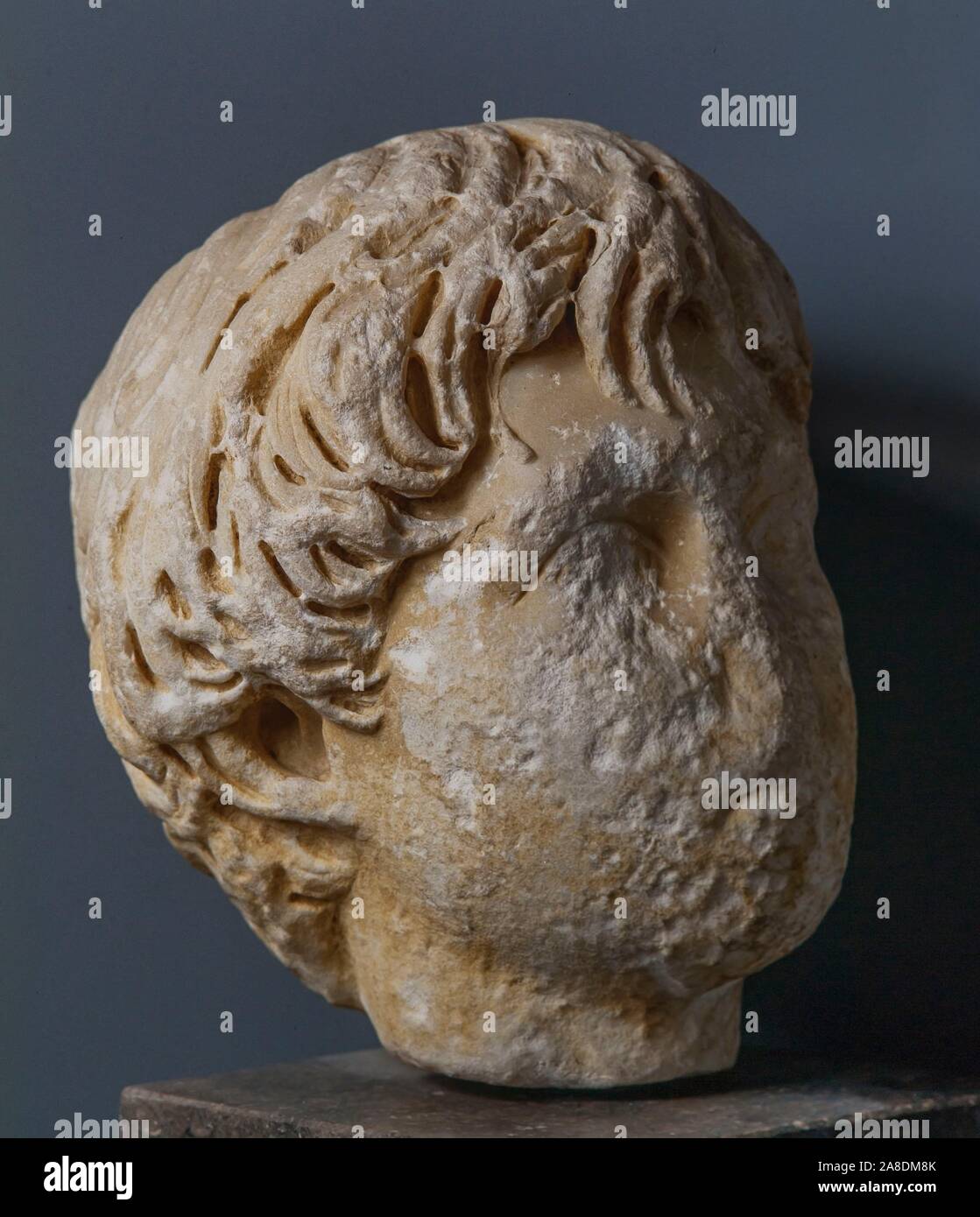 Roman head hi-res stock photography and images - Alamy