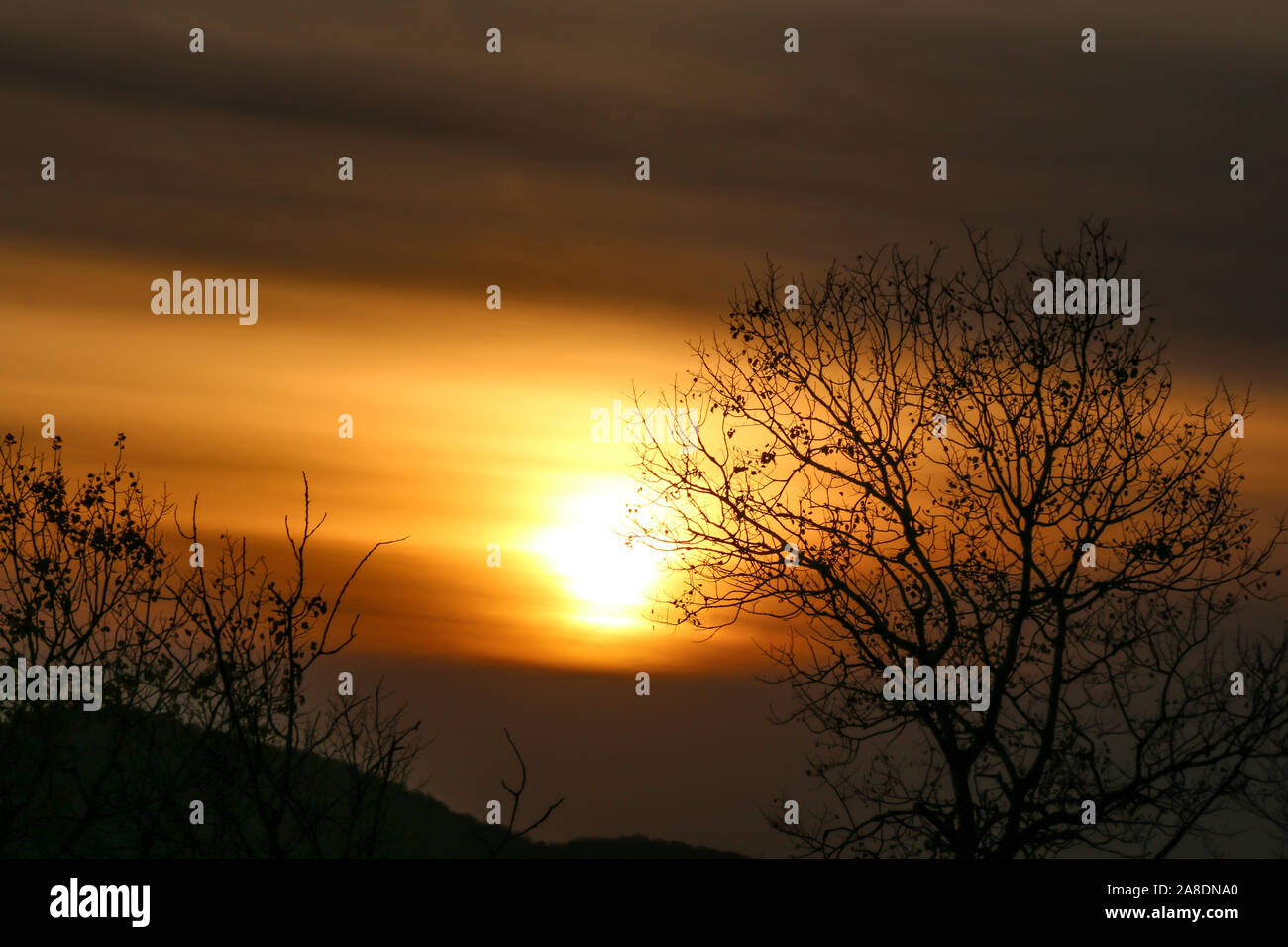 Four images hi-res stock photography and images - Alamy
