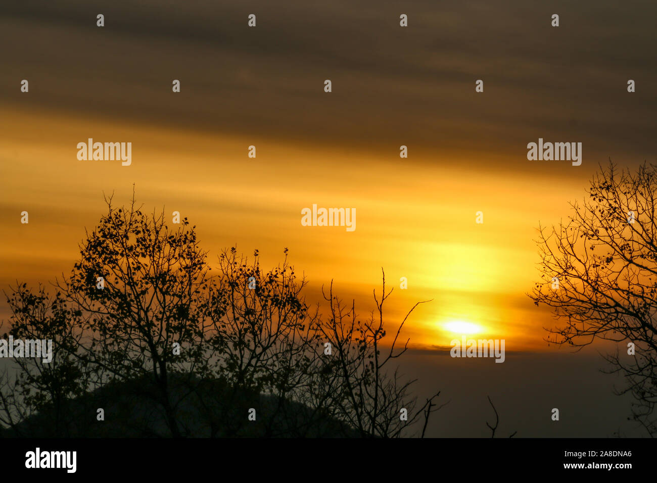 Four images hi-res stock photography and images - Alamy