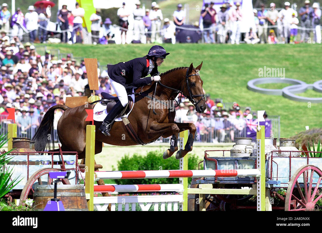 Eventing showjumping hi-res stock photography and images - Alamy