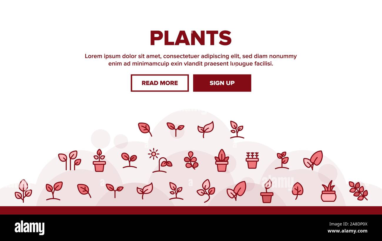 Collection Different Plants Sign Icons Set Vector Stock Vector Image ...