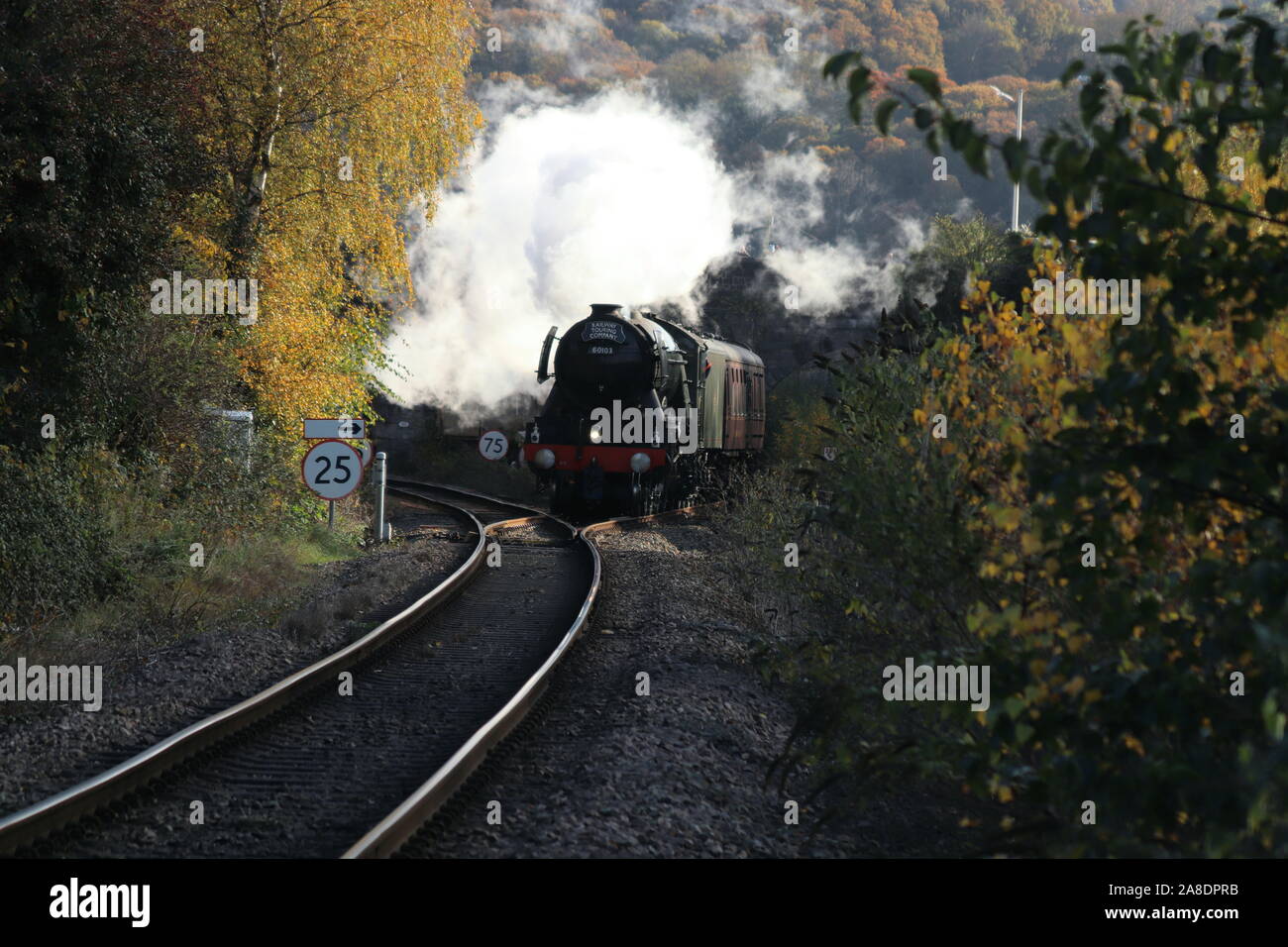 The Flying Scotsman on the north wales coastal line Stock Photo - Alamy