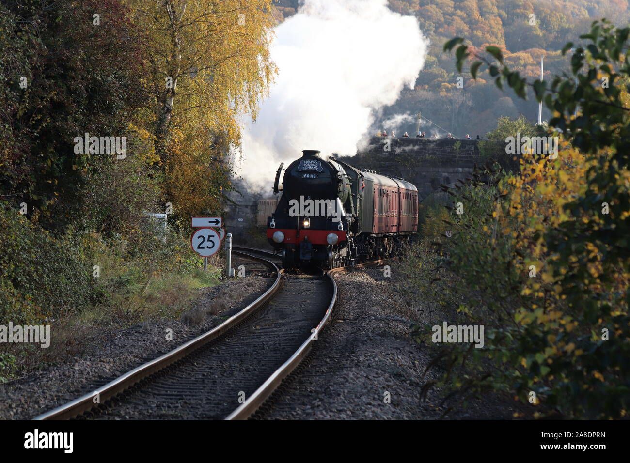 The Flying Scotsman on the north wales coastal line Stock Photo - Alamy