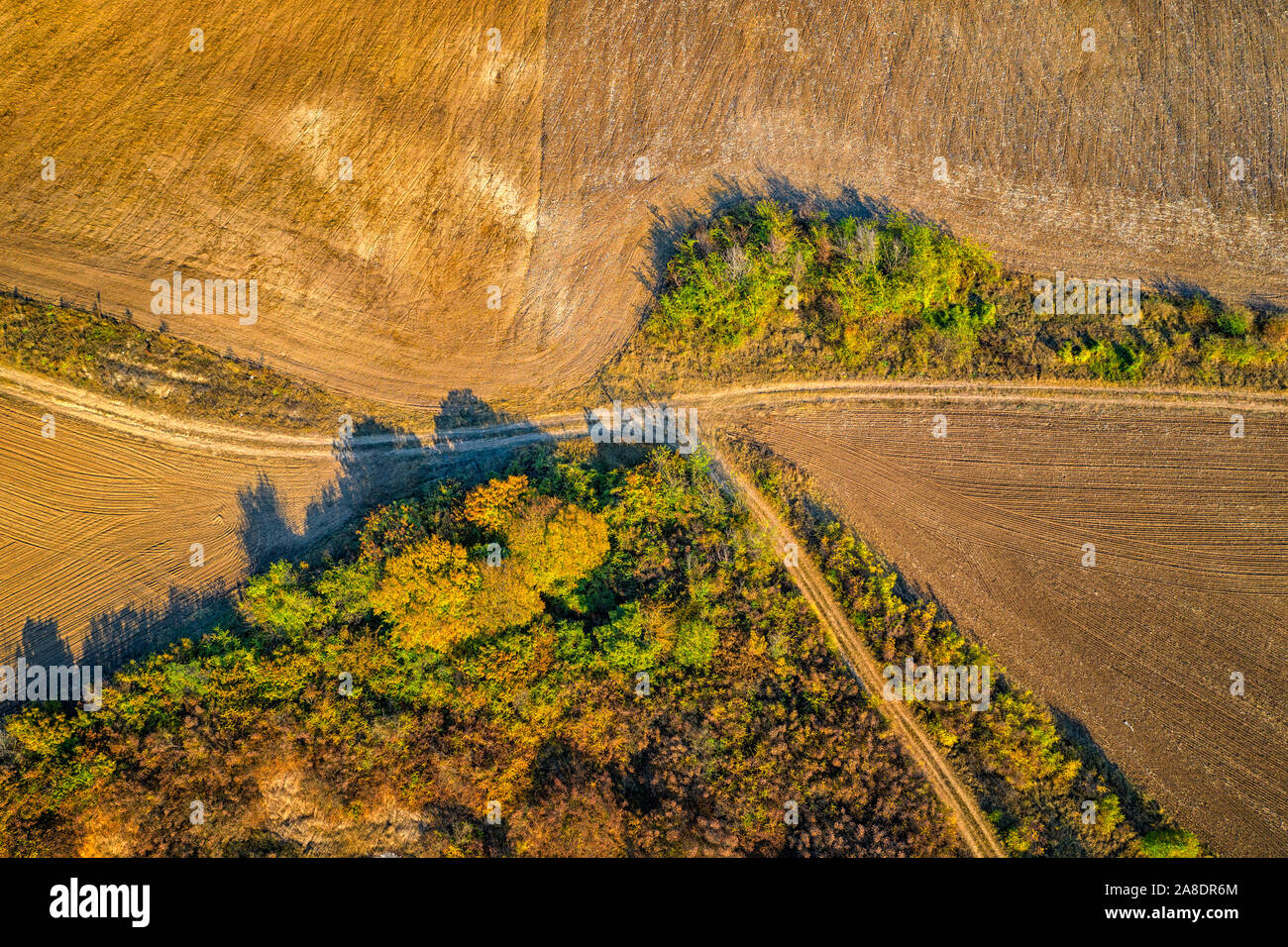 aerial top view from drone of the country road dividing into among the ...
