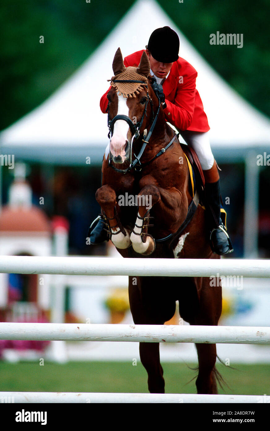 CSI Monterrey October 1998, Lars Nieberg (GER) riding Loro Piana For Pleasure Stock Photo - Alamy