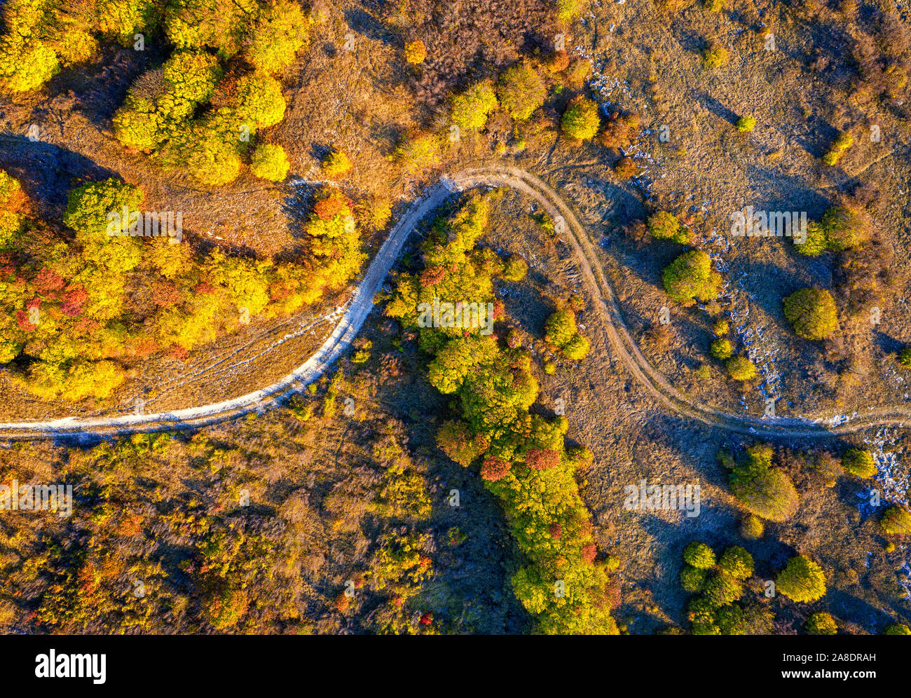 aerial top view from drone of park autumn landscape with trees ...