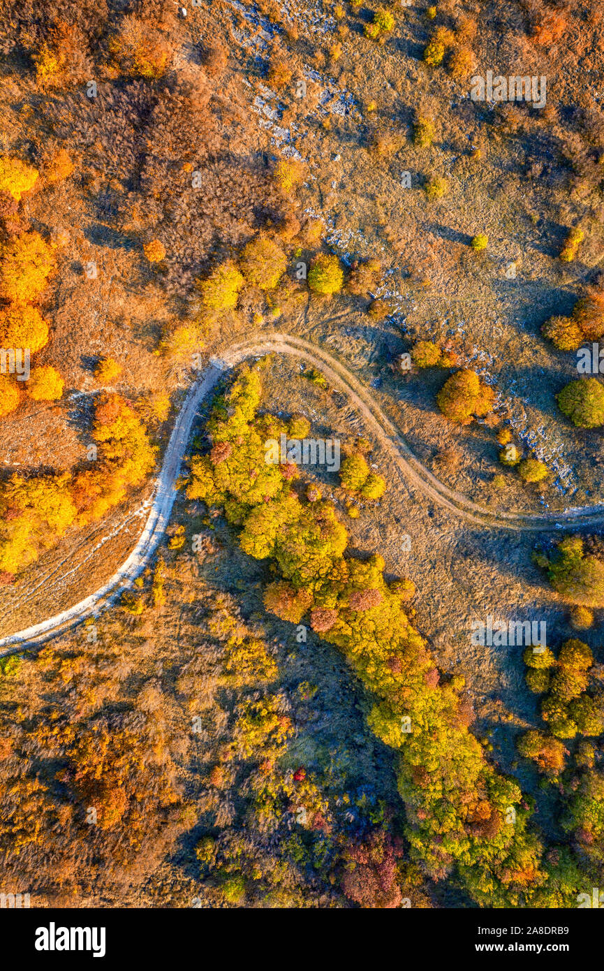 aerial top view from drone of park autumn landscape with trees ...
