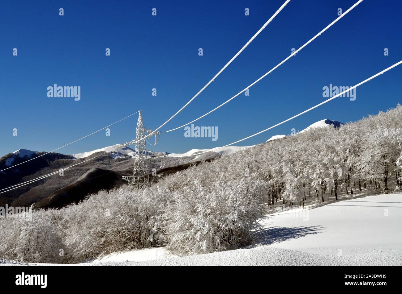 Intense cold, the cables that carry electricity are frozen Stock Photo ...