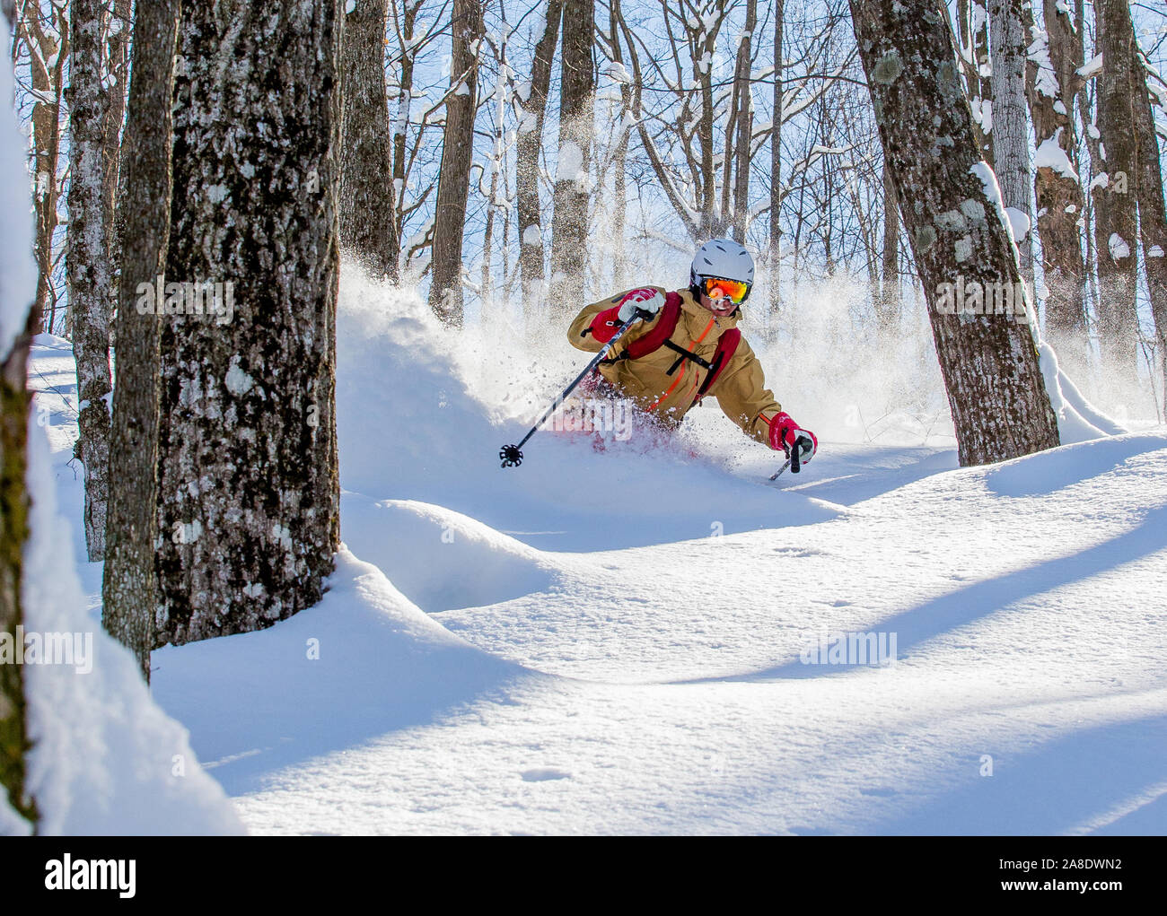 Man in deep forests hi-res stock photography and images - Alamy