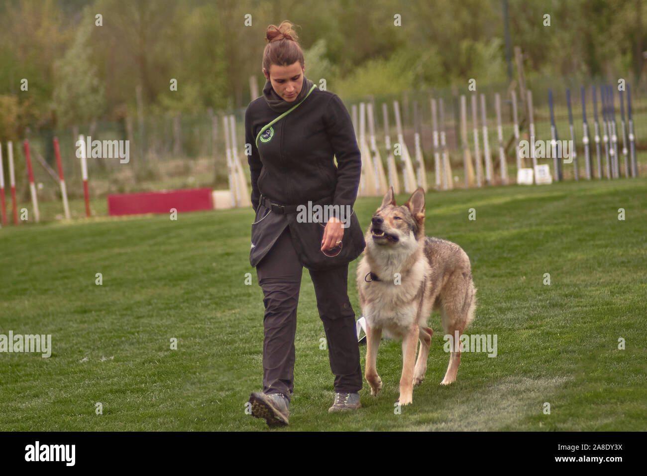 Dog and trainer hi-res stock photography and images - Alamy