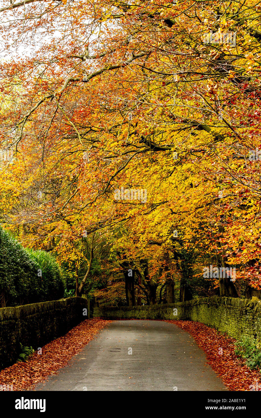 Change lane hi-res stock photography and images - Alamy