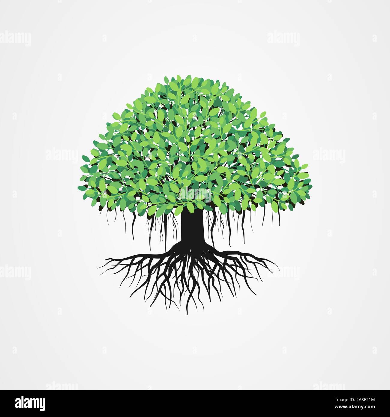 Roots banyan tree Stock Vector Images - Alamy