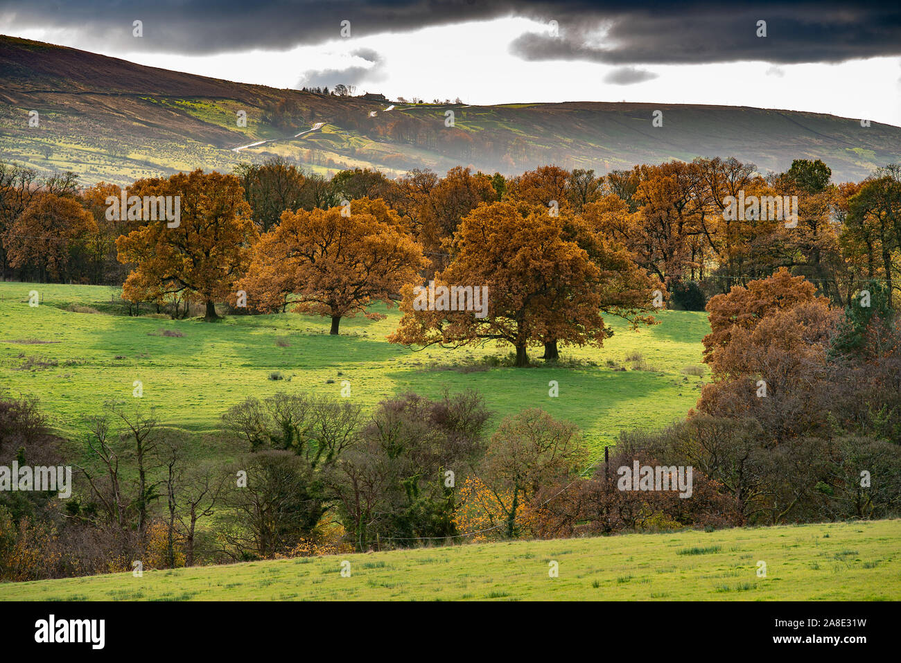 Longridge fell hi-res stock photography and images - Alamy