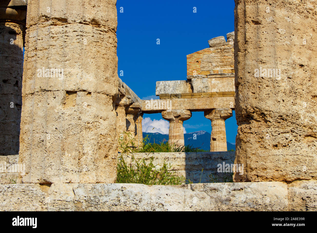 The greek Temple of Athena in the archaeological site of Paestum ...