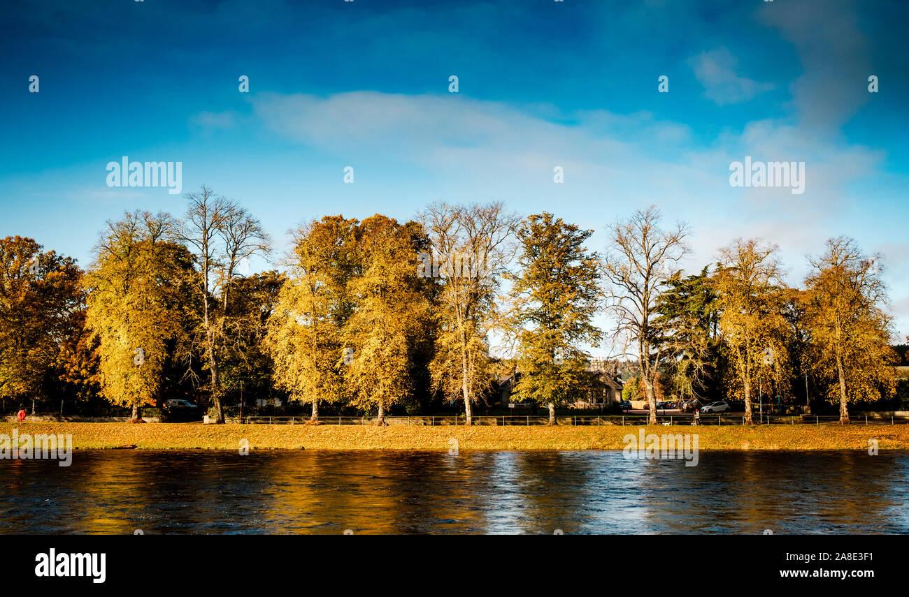 Trees in autumn colour on the banks of the River Ness in Inverness ...