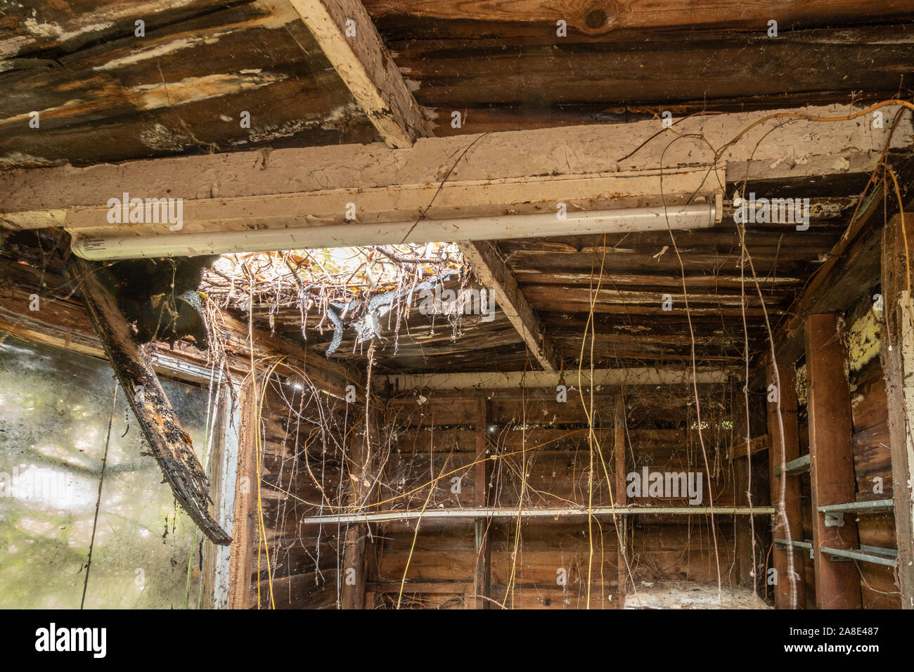 Inside old shed hi-res stock photography and images - Alamy