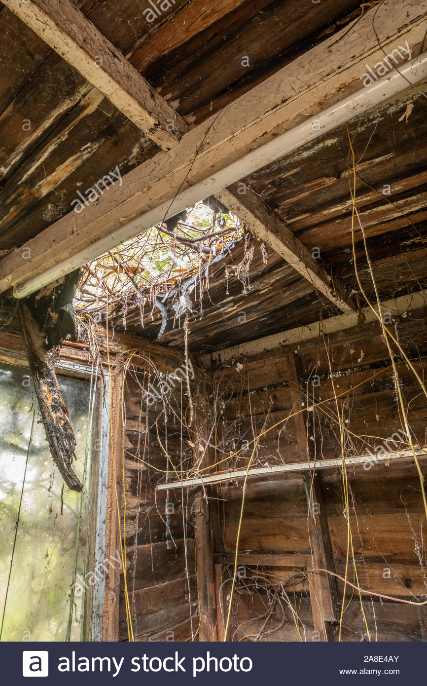 Inside Old Shed High Resolution Stock Photography and Images - Alamy