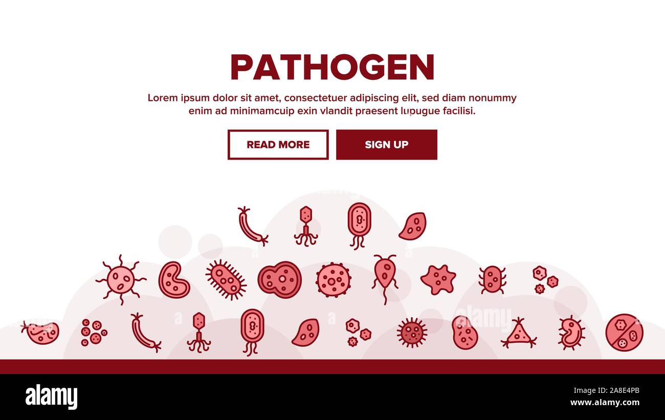 Collection Pathogen Elements Vector Sign Icons Set Stock Vector Image ...